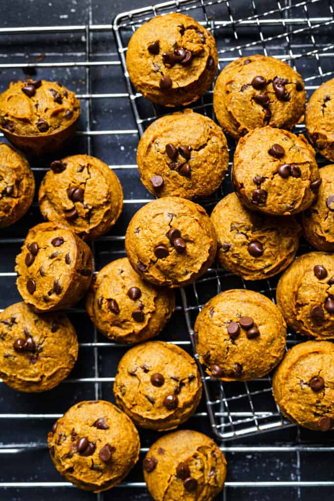 Grain-Free Mini Pumpkin Chocolate Chip Muffins - Kalejunkie