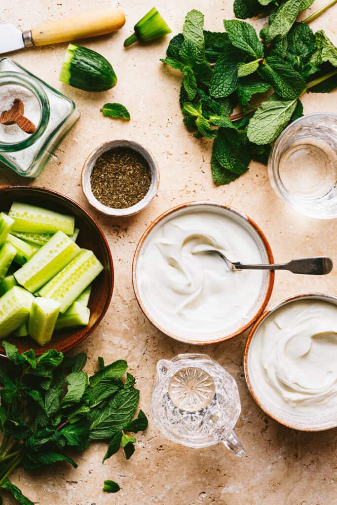 Gut Healthy Armenian Yogurt Drink (Tahn) - Kalejunkie
