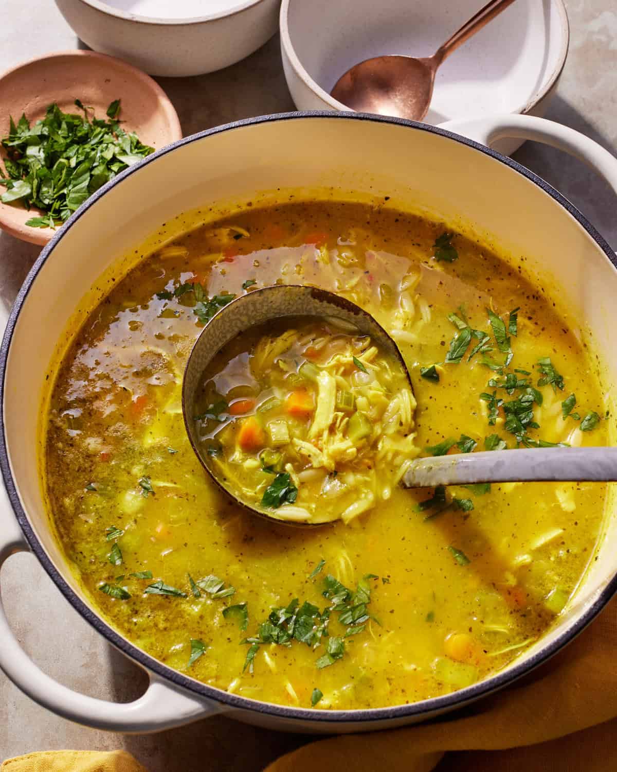 Healing One Pot Chicken Orzo Soup - Kalejunkie